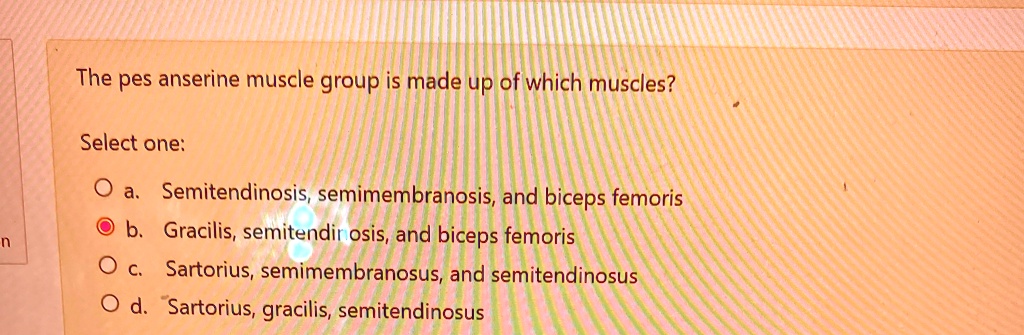 [GET ANSWER] the pes anserine muscle group is made up of which muscles ...