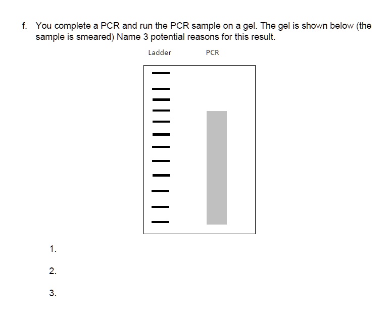 you complete a pcr and run the pcr sample on a gel the gel is shown ...
