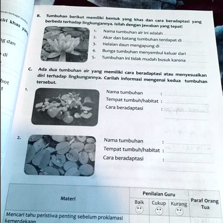 SOLVED: Tolong aku. Dan terima kasih Tumbuhan berikut memiliki bentuk ... SOLVED: Tolong aku. Dan terima kasih Tumbuhan berikut memiliki bentuk ...