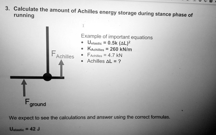 SOLVED: Calculate the amount of Achilles running energy storage during ...