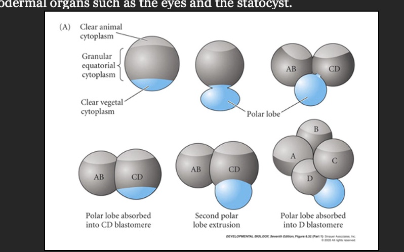 d) (2 pts.) Describe an experiment to determine if the causative process that you have ...