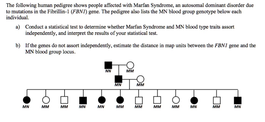SOLVED: The following human pedigree shows people aflected with Marfan ...