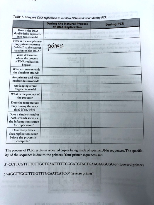 SOLVED: Table Compare DNA replication cell DNA methylation during ...