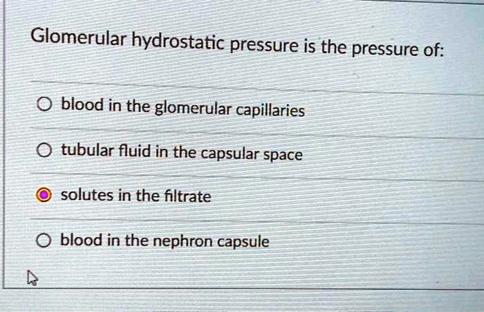 Glomerular hydrostatic pressure is the pressure of: Oblood in the ...