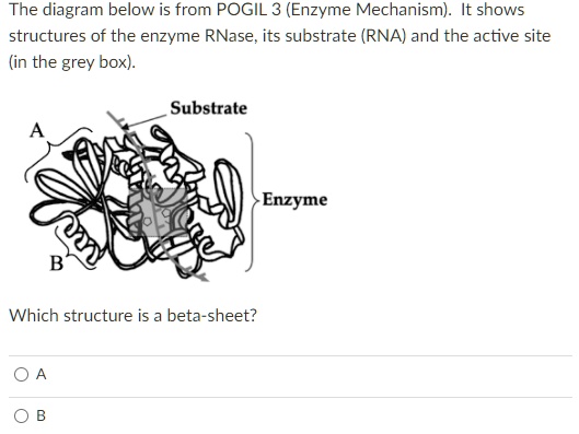 SOLVED: The diagram below is from POGIL 3 (Enzyme Mechanism). It shows ...