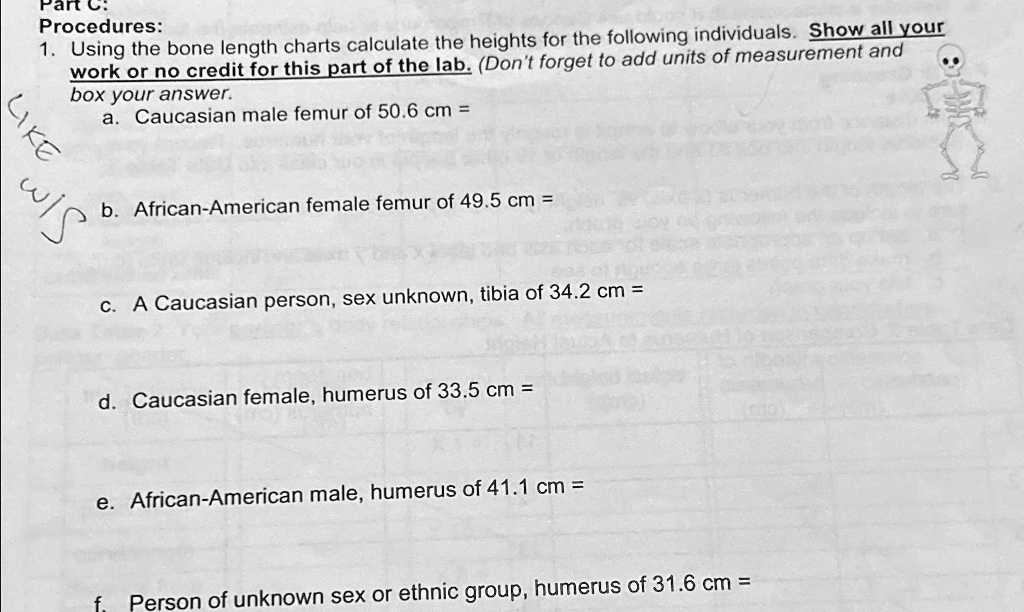 SOLVED: Procedures: Using the bone length charts, calculate the heights ...