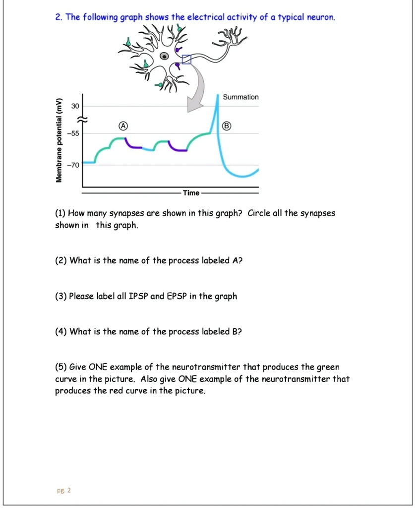 SOLVED: 'click jpeg to view photo 2. The following graph shows the ...
