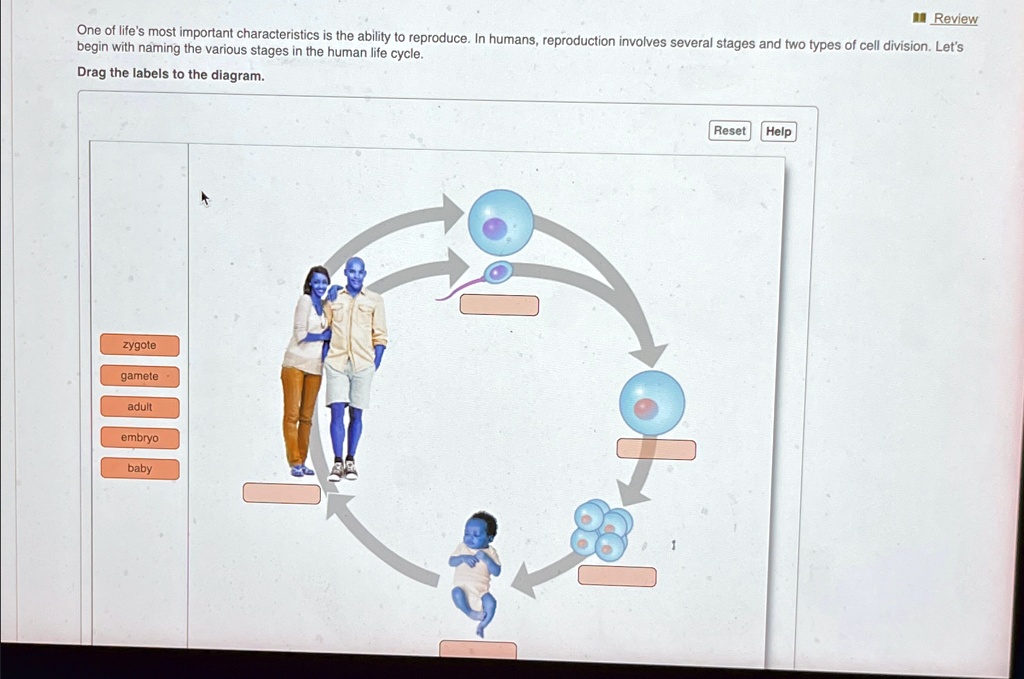 Review One of life's most important characteristics is the ability to ...