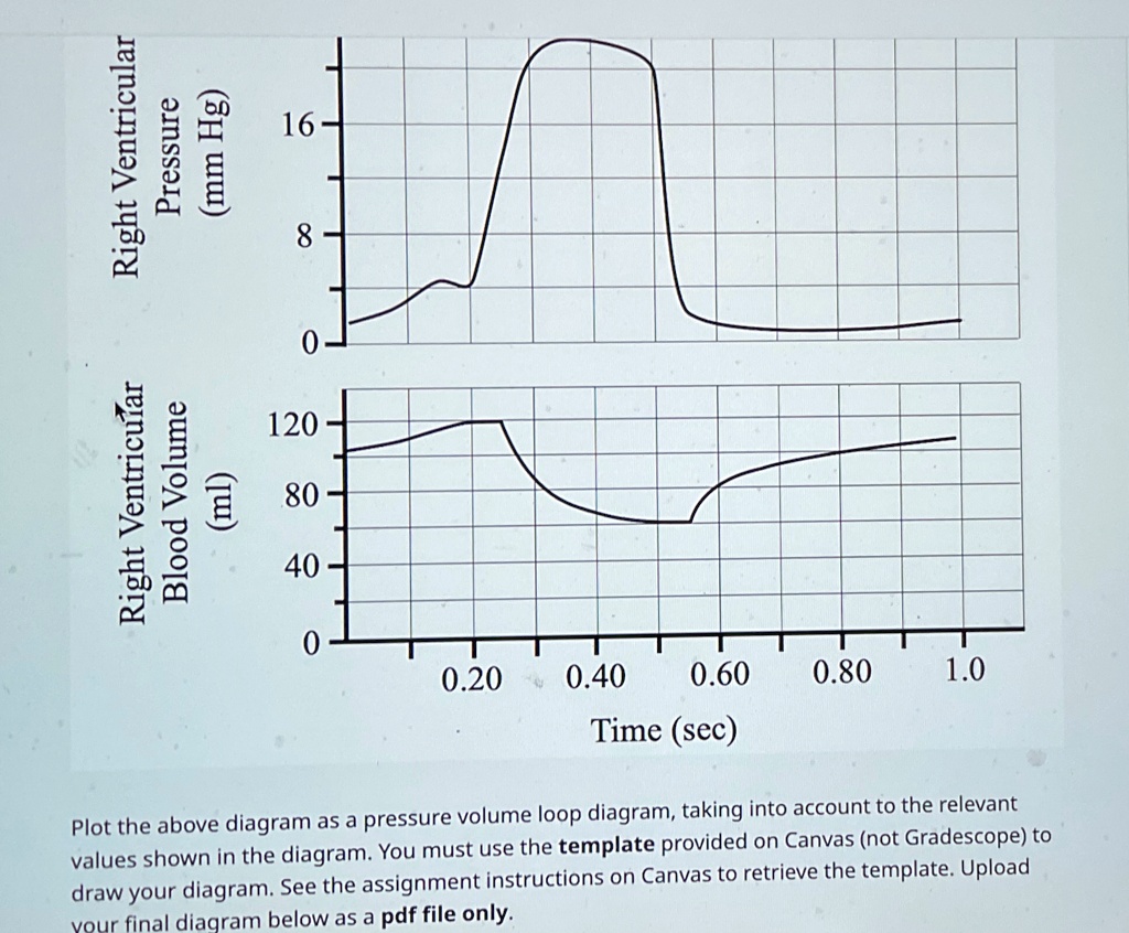 plot the above diagram as a pressure volume loop diagram taking into ...