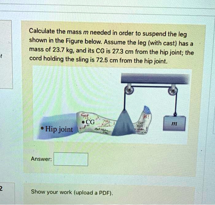 calculate the mass m needed in order to suspend the leg shown in the ...