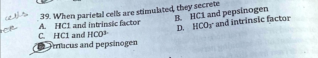 SOLVED: When parietal cells are stimulated, they secrete A. HCl and intrinsic factor B. HCl and ...