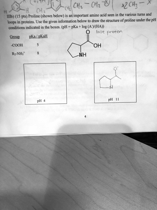 SOLVED: CH3 CH3 x2 CH3 1 Illb) (LS pts) Proline (shown below) is an ...
