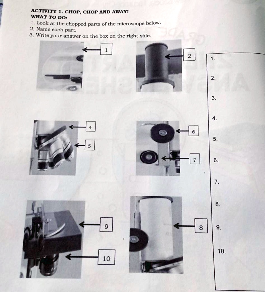 ACTIVITY 1. CHOP, CHOP AND AWAY! WHAT TO DO: 1. Look at the chopped ...