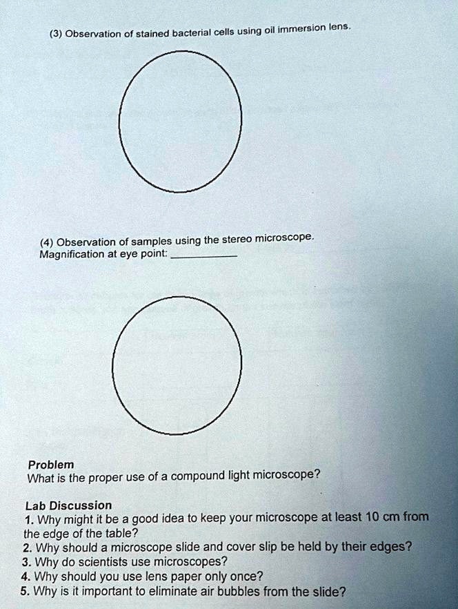observation of stained bacterial cells using oil immersion lens 4 ...