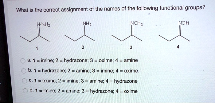SOLVED: What is the correct assignment of the names of the following ...