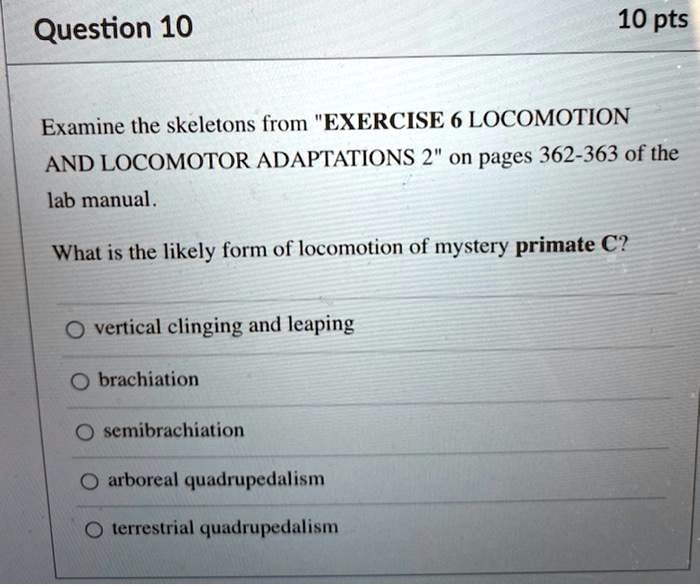 question 10 10 pts examine the skeletons from exercise 6 locomotion and ...