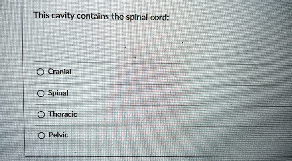 This cavity contains the spinal cord: Cranial Spinal Thoracic Pelvic ...