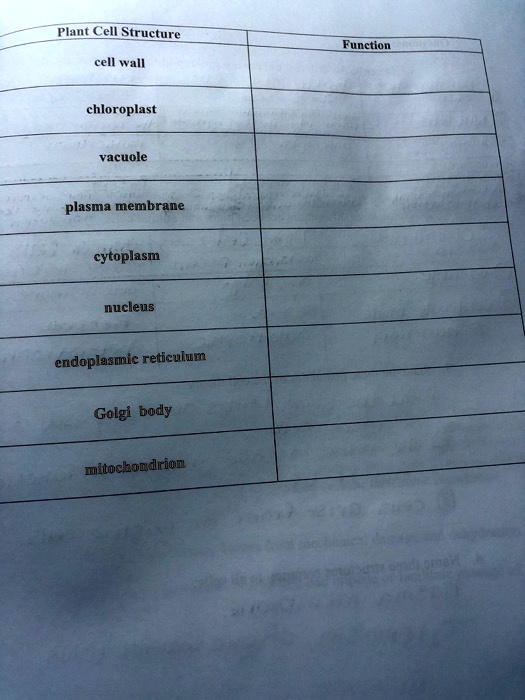 SOLVED: Plant Cell Structure Function cell wall chloroplast vacuole ...