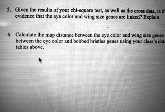 SOLVED:5. Given the results of your chi-square test; as well as the ...