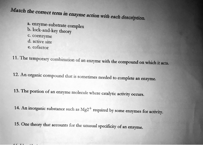 SOLVED: Match the correct term in enzyme action with each description ...
