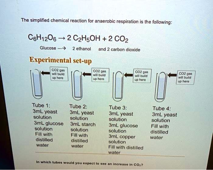SOLVED:The simplified chemical reaction for anaerobic respiration is ...