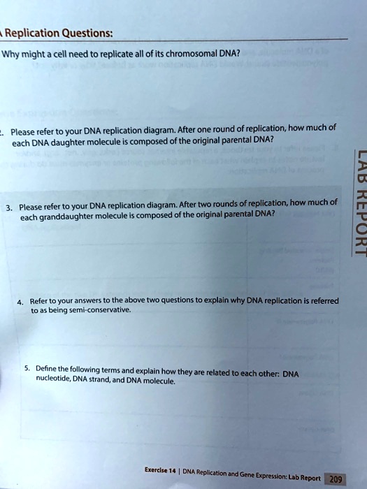 SOLVED: Replication Questions: Why might a cell need to replicate all of its chromosomal DNA ...