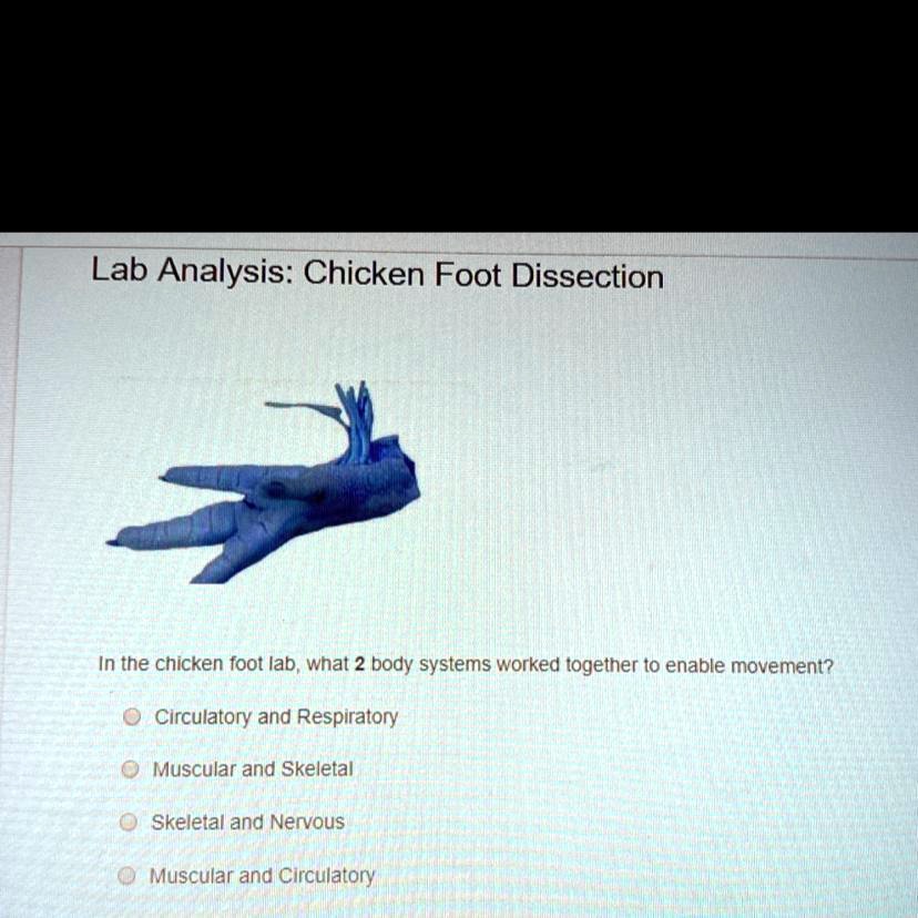 SOLVED: (Pic attached) Can anyone help me? Lab Analysis: Chicken Foot ...
