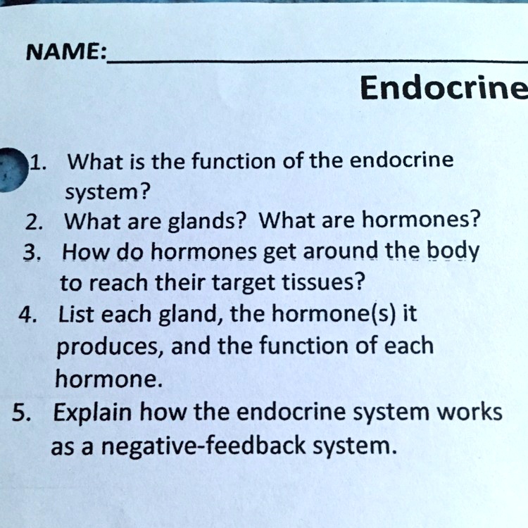 NAME: Endocrine 1. What is the function of the endocrine system? 2 ...