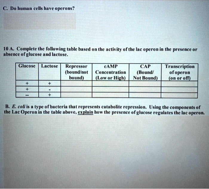 SOLVED: Do human cells have operons? A. Complete the following table ...
