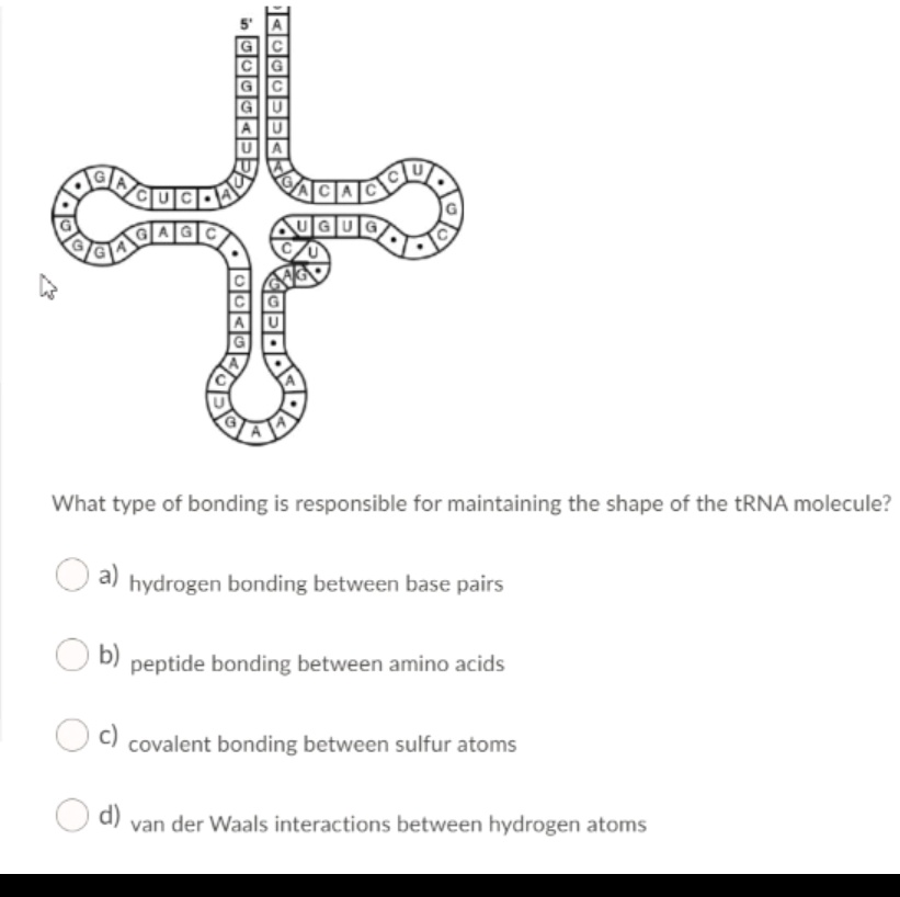 SOLVED: What type of bonding is responsible for maintaining the shape ...