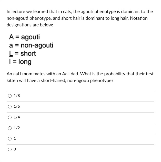 SOLVED: In the lecture, we learned that in cats, the agouti phenotype ...
