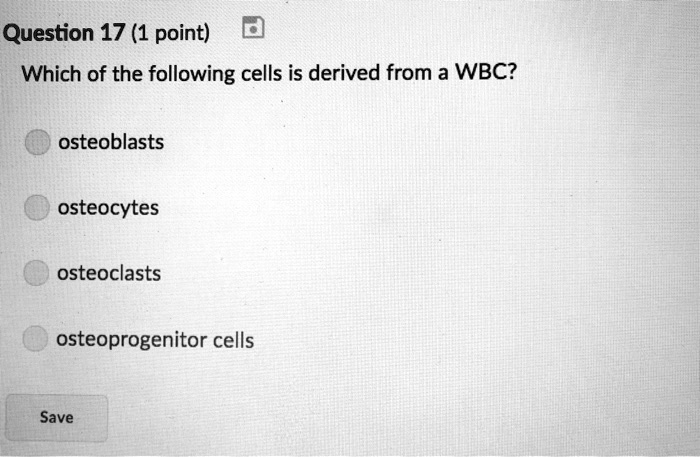 SOLVED: Question 17 (1 point) Which of the following cells is derived ... SOLVED: Question 17 (1 point) Which of the following cells is derived ...