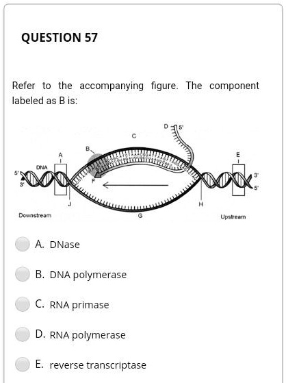 SOLVED: Refer to the accompanying figure. The component labeled as B is ...