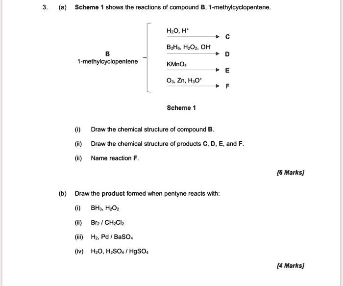 SOLVED: Scheme shows the reactions of compound B. 1-methylcyclopentene. Ho,H" BzHo; H-Oz, OH 1 ...