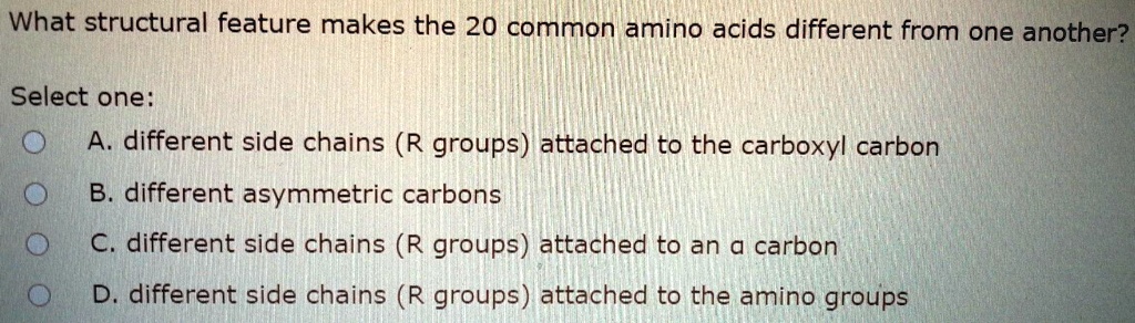 what structural feature makes the 20 common amino acids different from ...