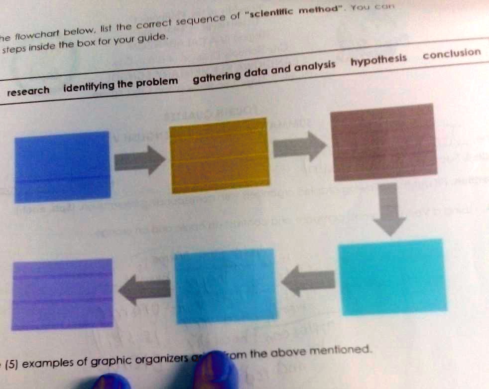 SOLVED: Using the flow chart below, list the correct sequence of the ...