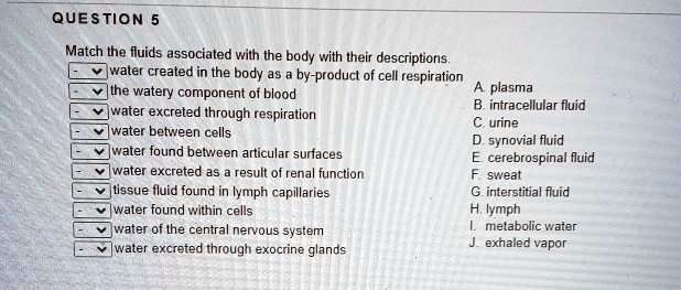 QUESTION 5 Match the fluids associated with the body with their ...