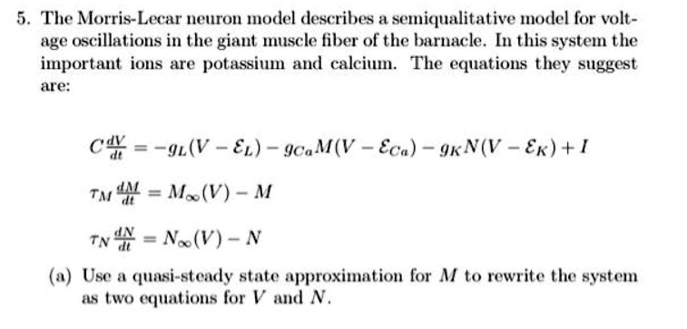 SOLVED: The Morris-Lecar Hodgkin-Huxley model describes a semi ...