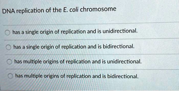 Dna Replication Of The E Coli Chromosome Has A Single Origin Of 2497