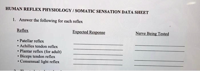 HUMAN REFLEX PHYSIOLOGY/SOMATIC SENSATION DATA SHEET 1. Answer the ...