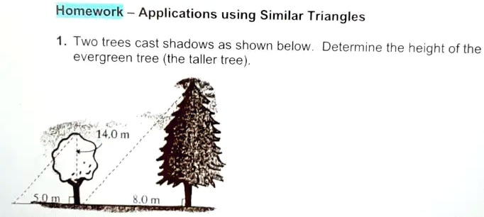 SOLVED: Homework Applications using Similar Triangles 1. Two trees cast ...