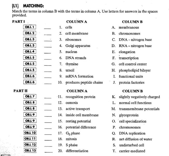 [L1] MATCHING: Match the terms in column B with the terms in column A. Use letters for answers ...