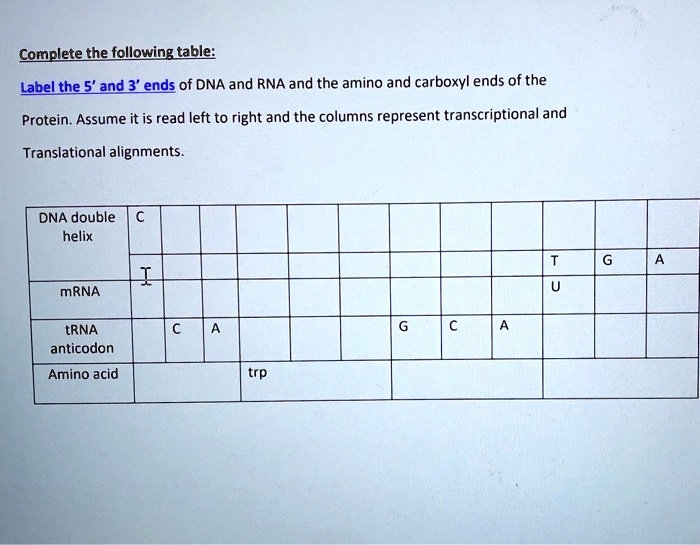 completethe following table label the 5and 3ends of dna and rna and the amino and carboxyl ends ...