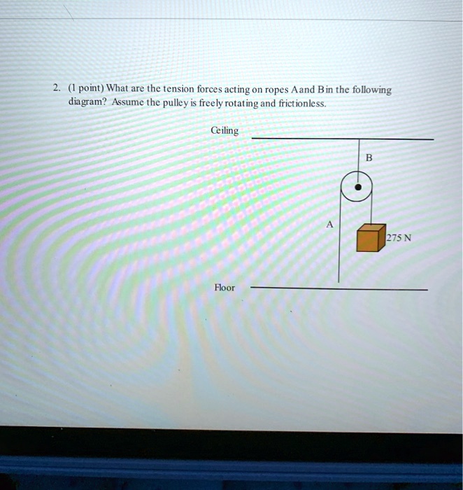 1 point what are the tension forces acting on ropes aand bin the ...