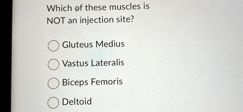 which of these muscles is not an injection site gluteus medius vastus ...