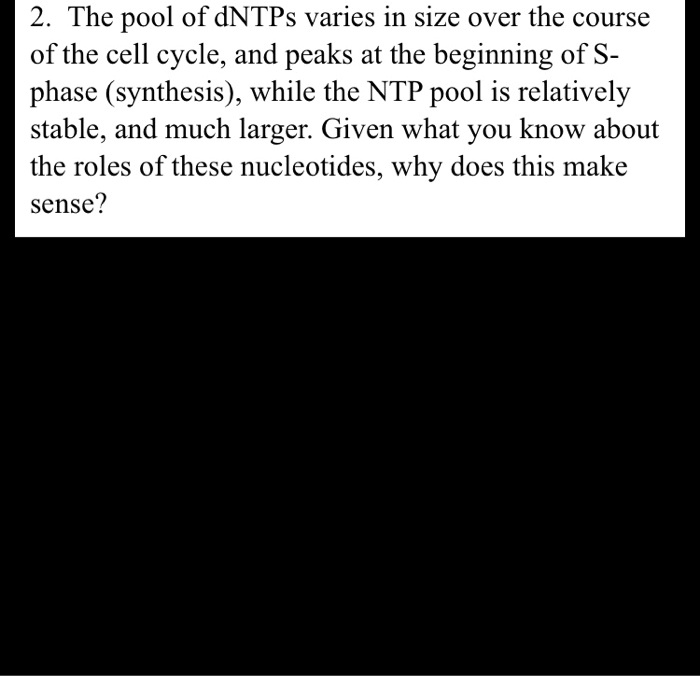 SOLVED: 2 The pool of dNTPs varies in size over the course of the cell ...