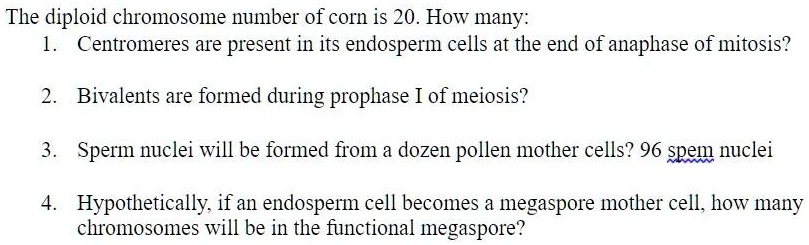 SOLVED: The diploid chromosome number of corn is 20. How many ...