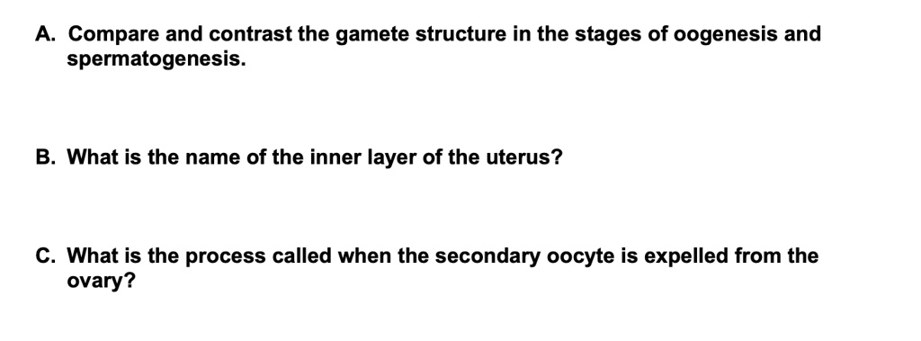 SOLVED: A. Compare and contrast the gamete structure in the stages of ...