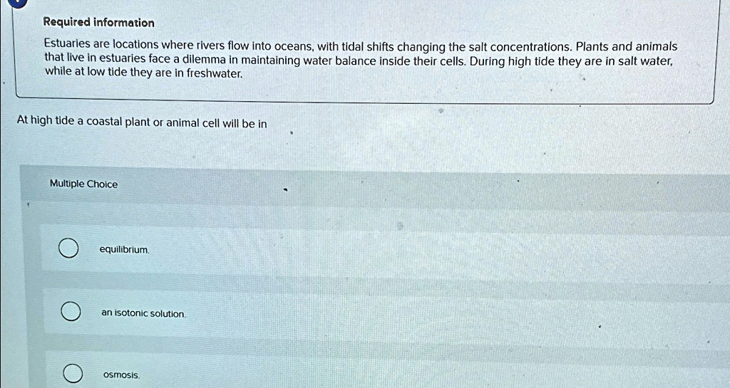 required information estuaries are locations where rivers flow into ...