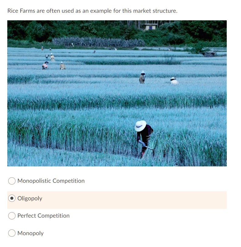 SOLVED: Rice Farms are often used as an example for this market ...